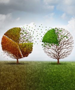 Credit Sprint - Fidimed